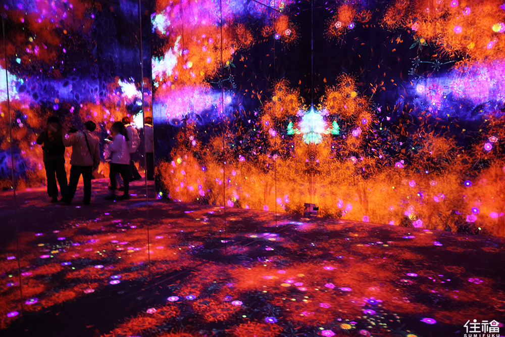 TeamLab Bordeless in Azabudai Hills, Tokyo